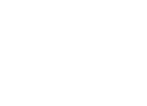 Brand Identity Examples - Foxen Insurance - Created by Spicefire